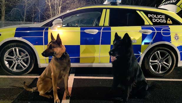 Humberside Police dogs set to train at the HEP - Humber Enterprise Park